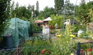 Kleiner Kleingarten - Gestaltungstipps für wenig Platz