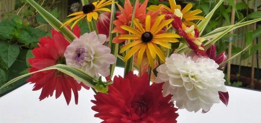 Der Blumenstrauß des Monats August