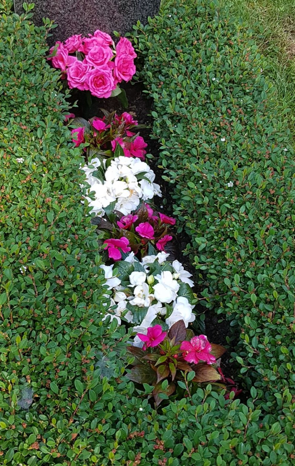 Grabgestaltung im Sommer - mit ausdauernd blühenden Pflanzen